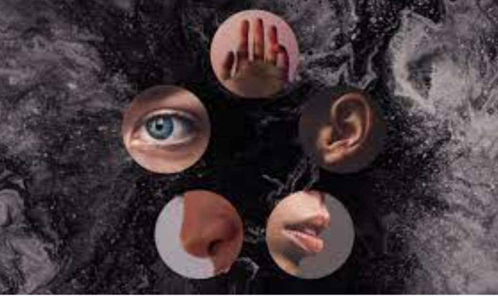 Create emotional engagement with your customers: stimulate the five ...